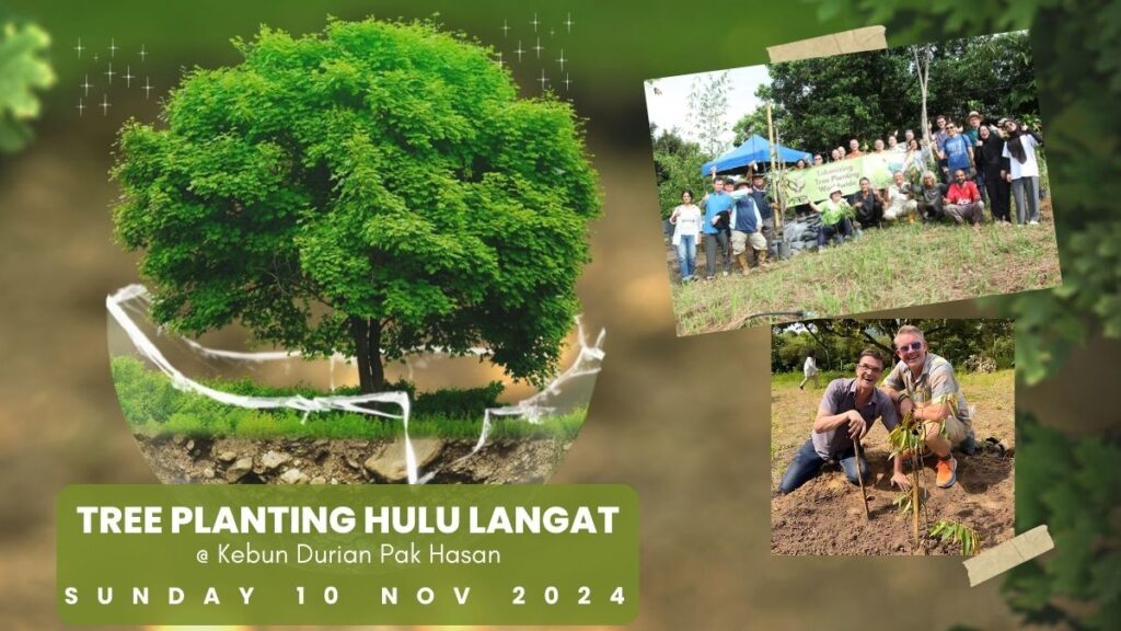 Tree Planting Hulu Langat | Tokenizing Tree Planting Worldwide